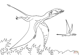 14+ Pterosaurs Dinosaur Coloring Pages - Best Coloring Pages For Kids