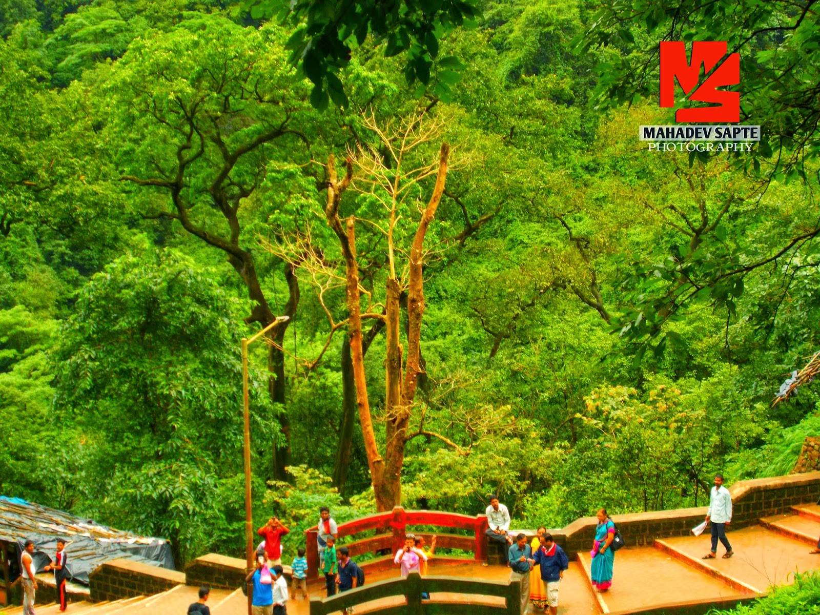 Satara - Mahabaleshwar - Pratapgad - Thoseghar -Kas Pathar & Sahyadri ...