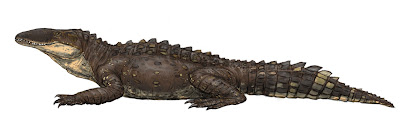 JURASSIC GIANTS: SEBECUS: THE GOD CROCODILE