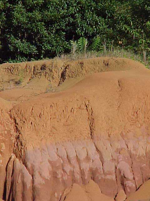 Tipos de suelo arenoso arcilloso y humifero - Imagui
