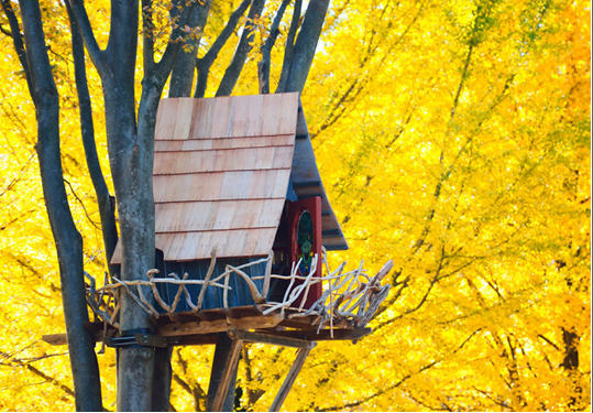 ΤΑΡΑΤΣΟΚΗΠΟΣ...Ο ΚΗΠΟΣ ΤΩΝ ΠΟΛΕΩΝ: Πανέμορφα δεντρόσπιτα από όλο τον κόσμο