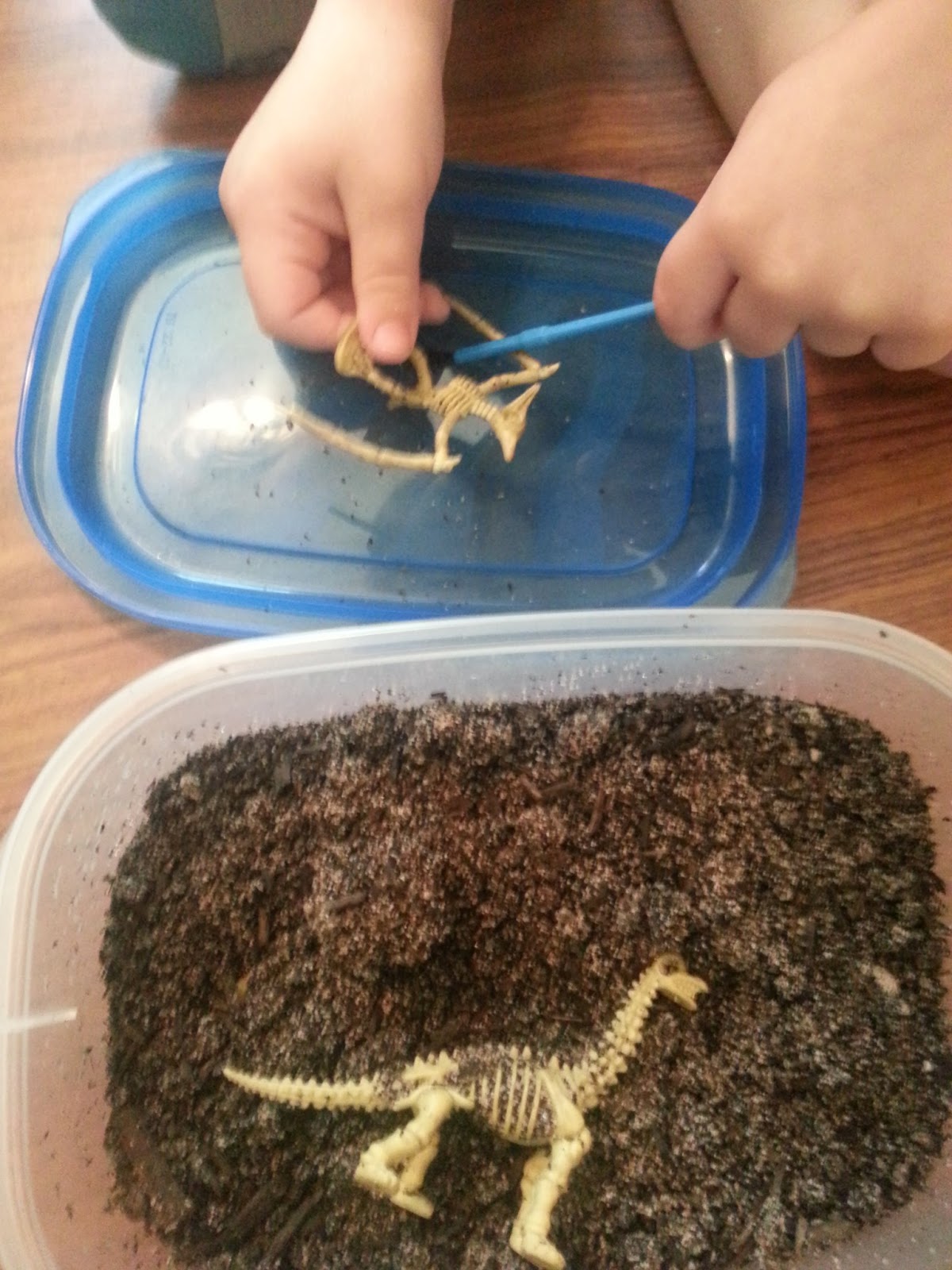 Our Dino Dig