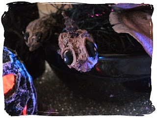 House of Dewberry: Halloween How-To Potato Fingerling Creepy Critters