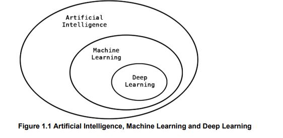 Data Science, Database, AI Startups and Domain Learning's (Video-Image ...