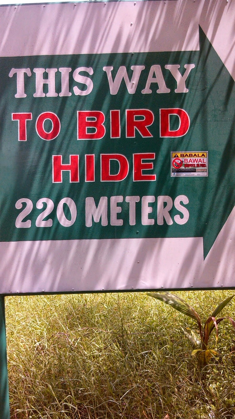 alwayschoosephilippines: Cabusao Wetlands