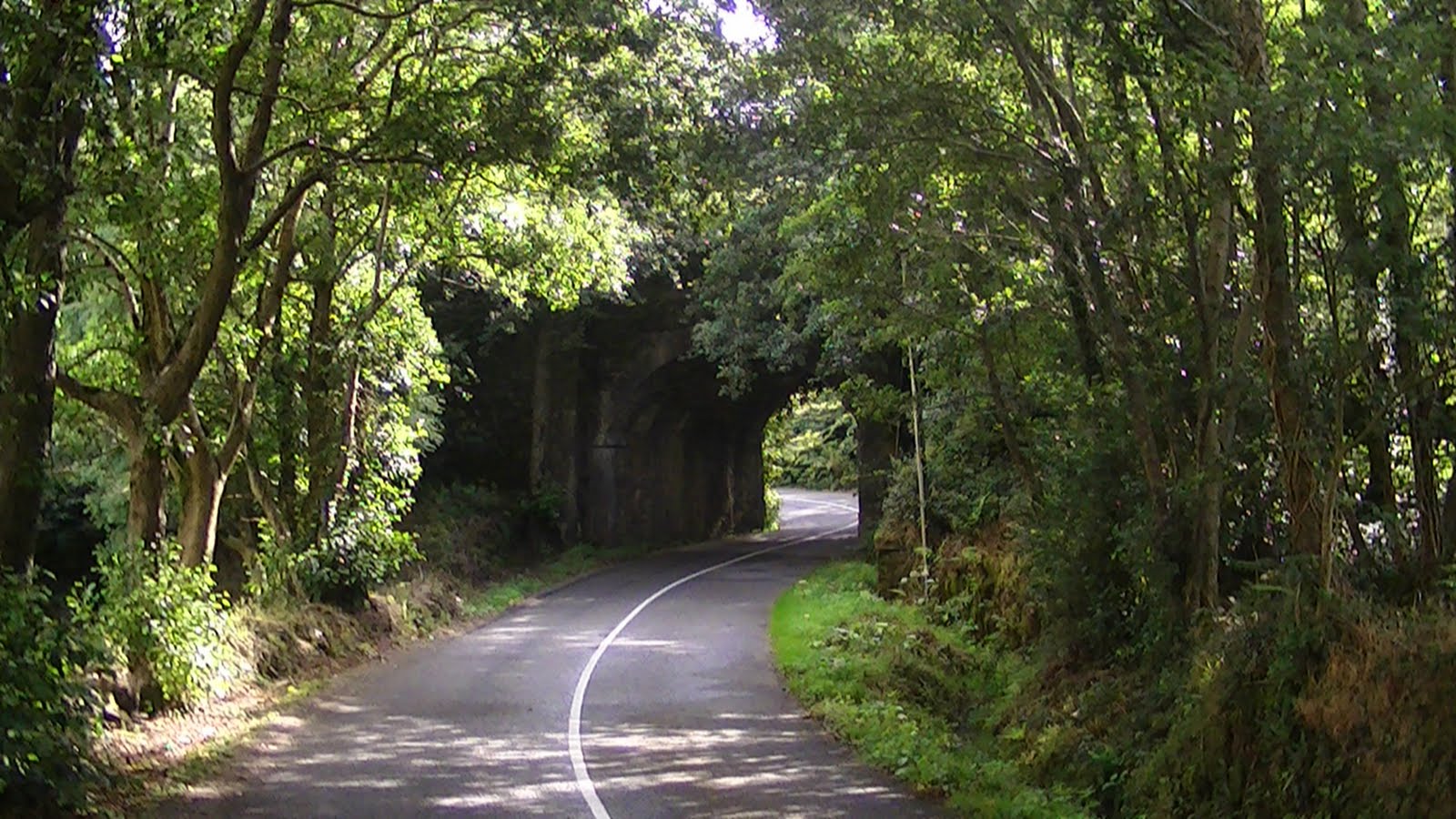 The Catholic Heritage Association of Ireland: Back on the Rails IV ...