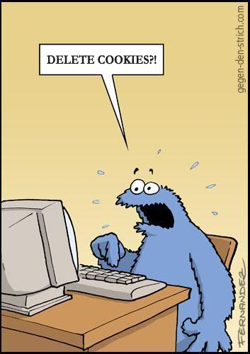 Seguridad informatica: ¿Qué son las cookies; son virus?