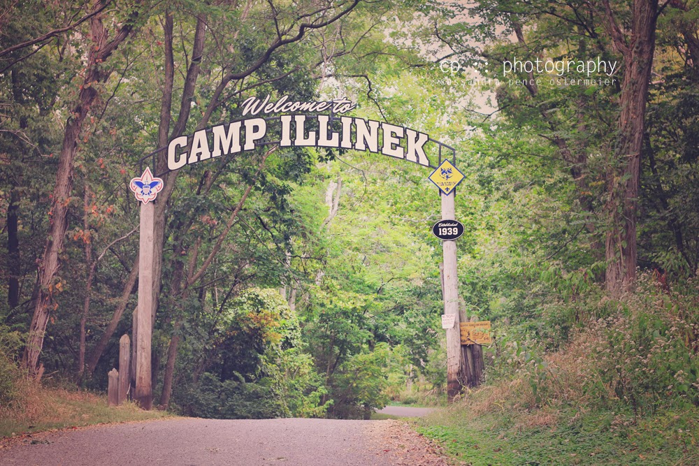 sassafras: cub scout camp :: nature photography