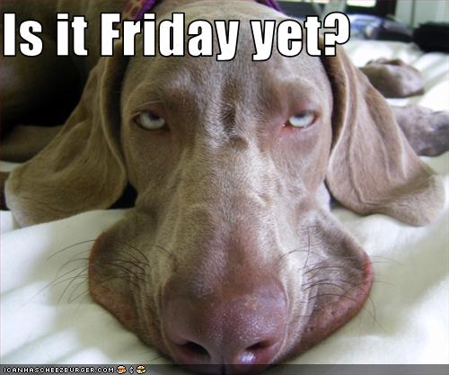 Marco Marnewick`*.¸.*´Loving Memories`*.¸.*´04-10-1972 - 27-06-2010 ...