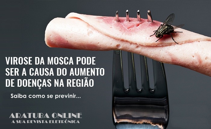 Aratuba Online: ALERTA TOTAL: VIROSE DA MOSCA PODE SER A CAUSA DO ...