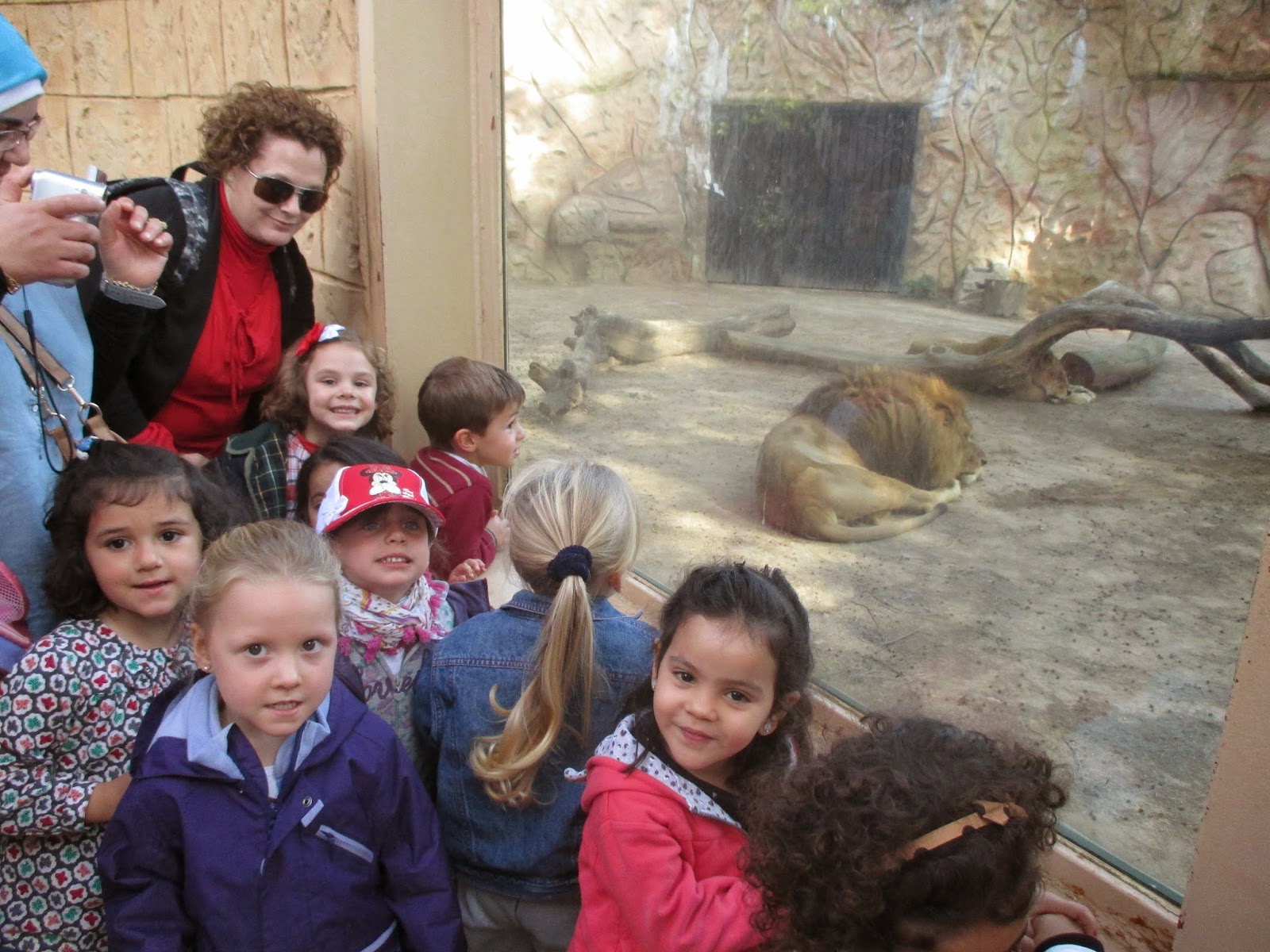 MI CLASE DE INFANTIL: DE EXCURSIÓN AL ZOO