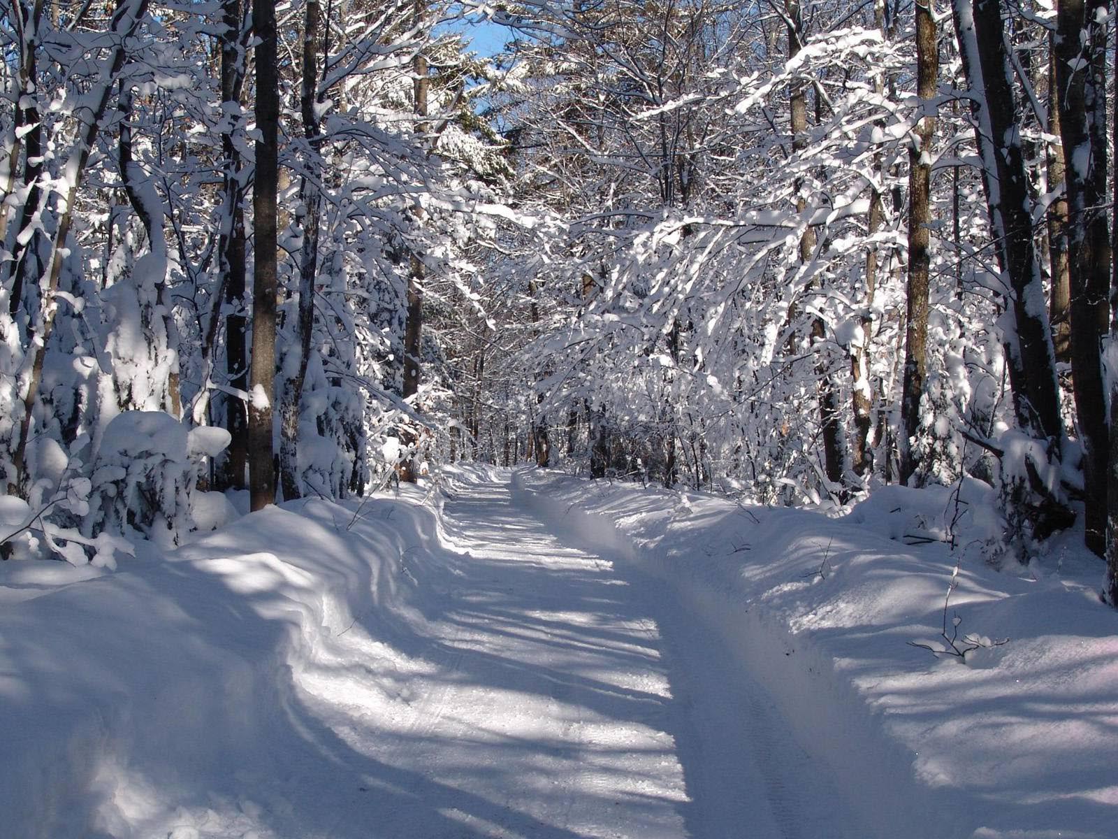 Mooie Sneeuw Achtergronden | HD Wallpapers