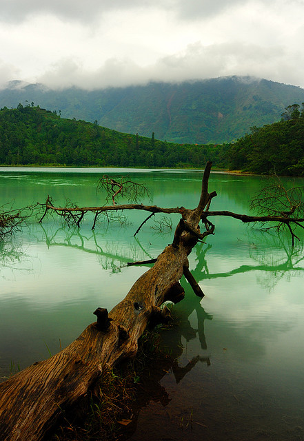 TELAGA WARNA - PAKET WISATA DIENG TOUR TRAVEL