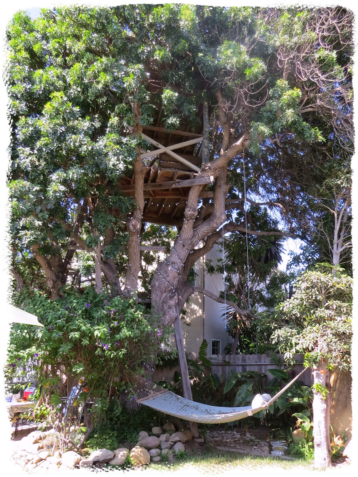 Art and Sand: Two Trees and a Tree House