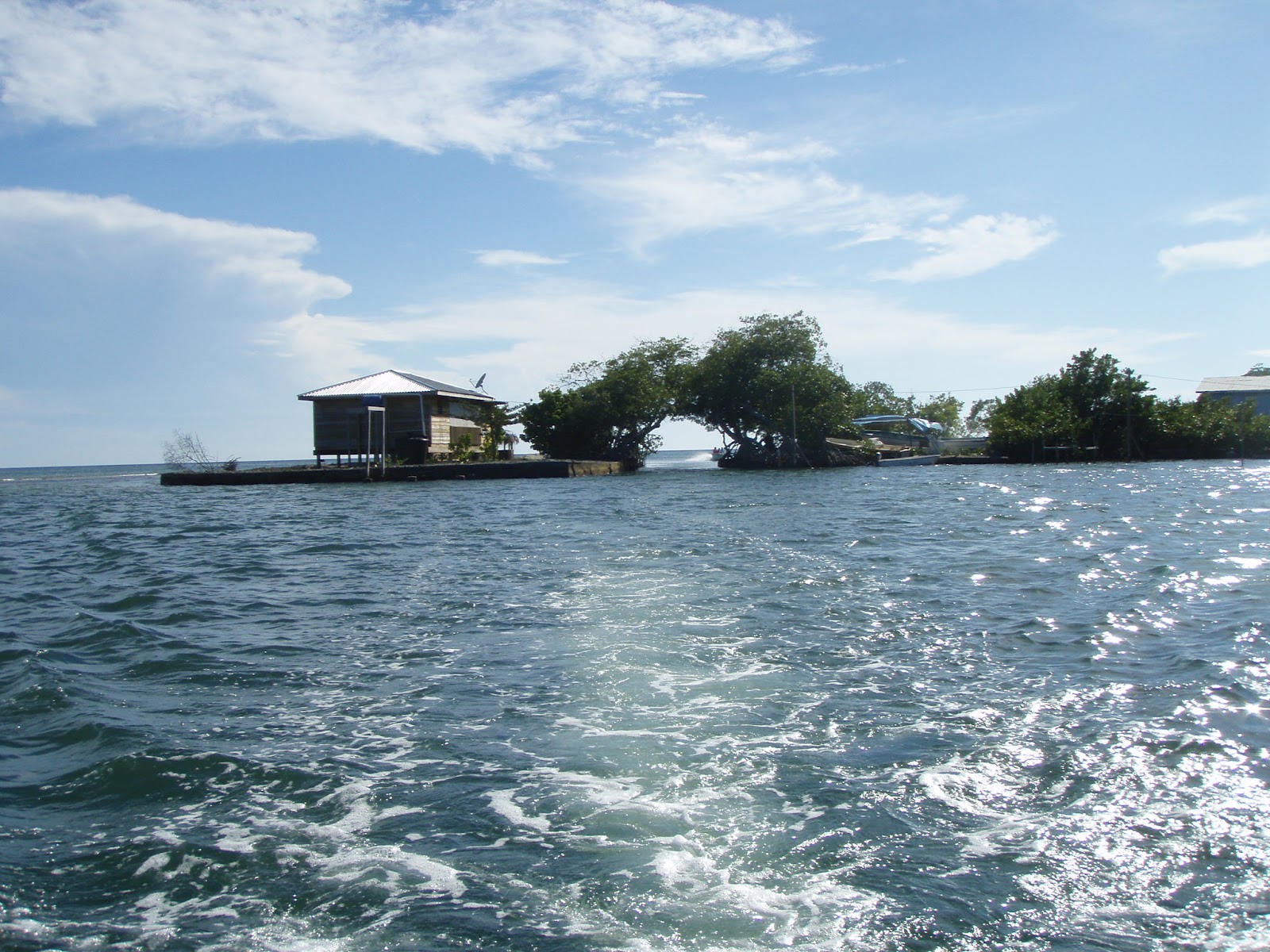 Le Chat Beaute: Oak Ridge Harbor, Roatan