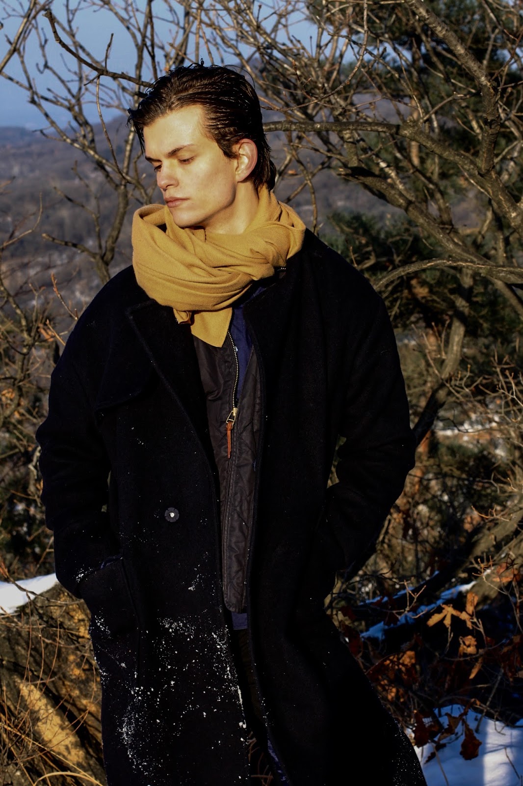 VEDOVATO – Cartola