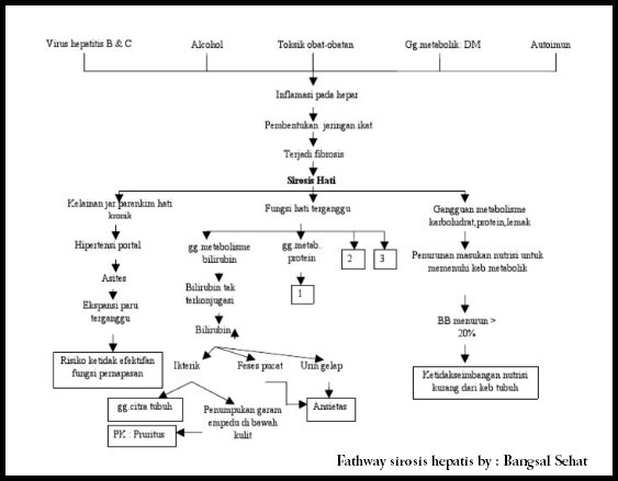 ASKEP SIROSIS HEPATIS PDF