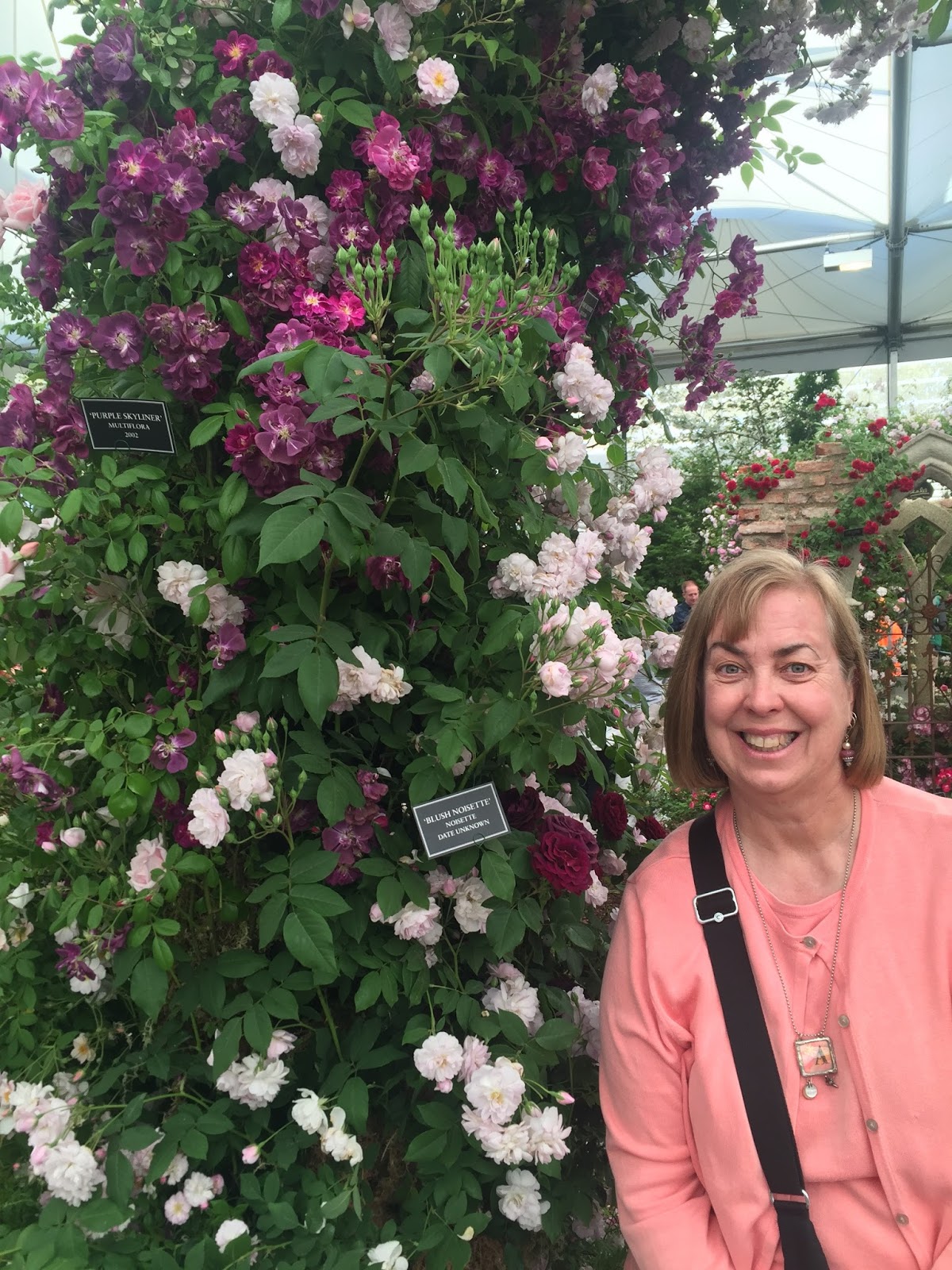 Aprille's SoCal Gardening : Chelsea Flower Show Part 4 -Roses