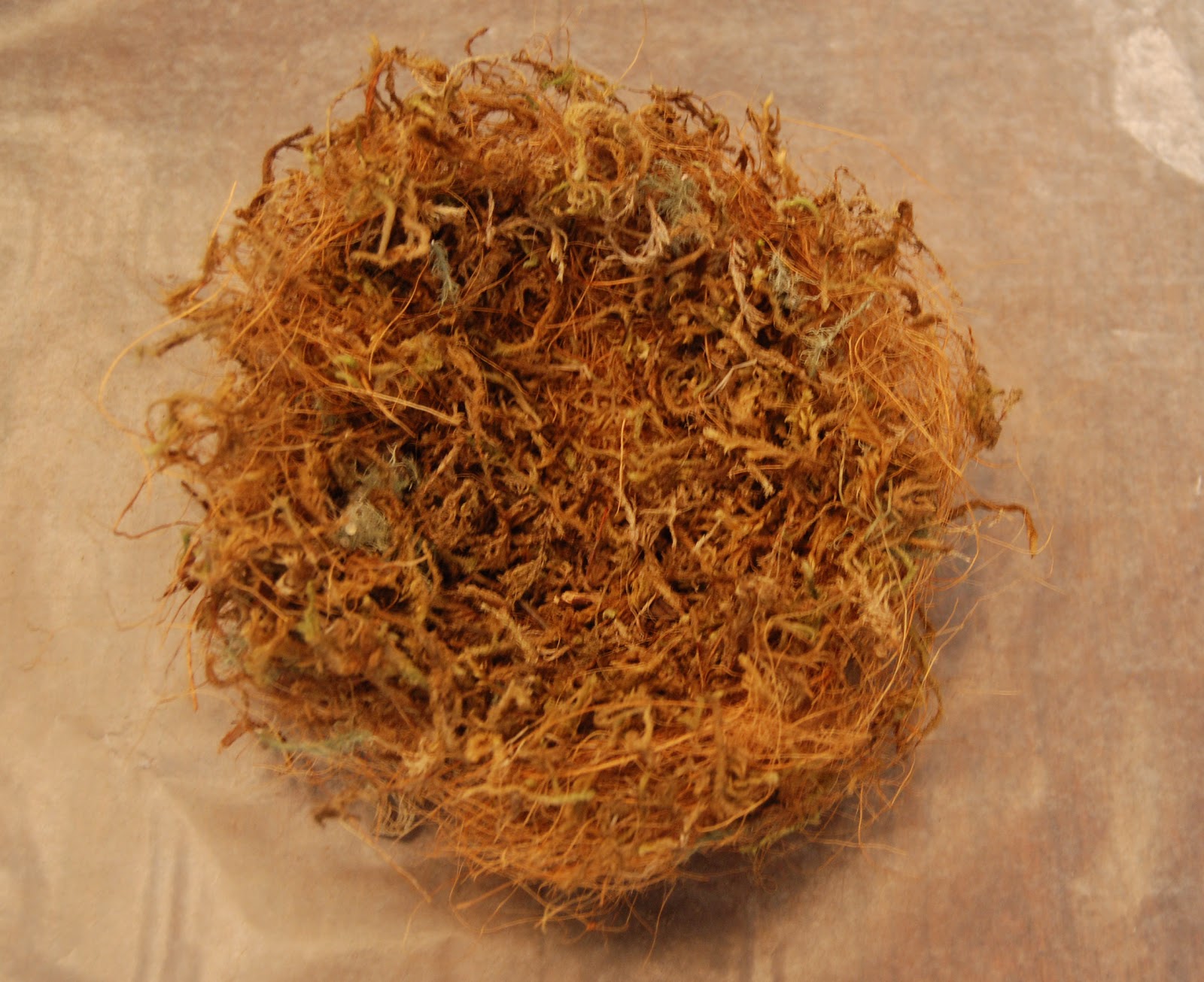 Imparting Grace: How to make a beautiful bird's nest for just a few pennies