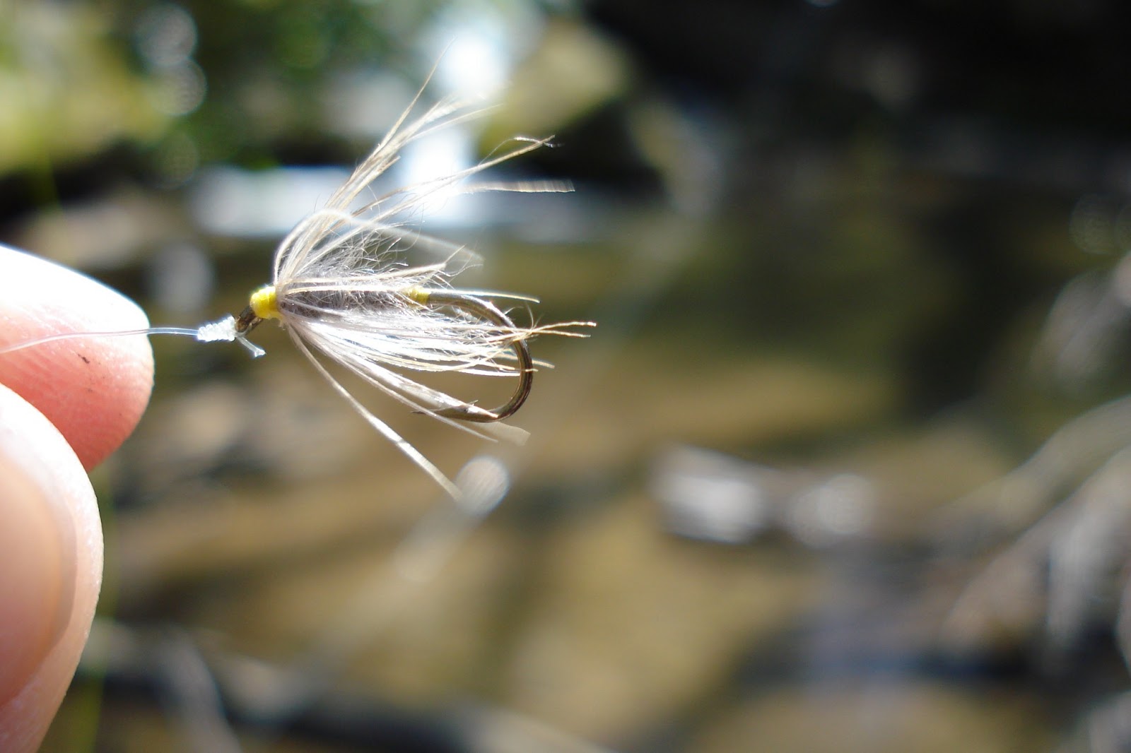 SOFT HACKLES, TIGHT LINES: A Very Necessary Definition and a Modus Operandi