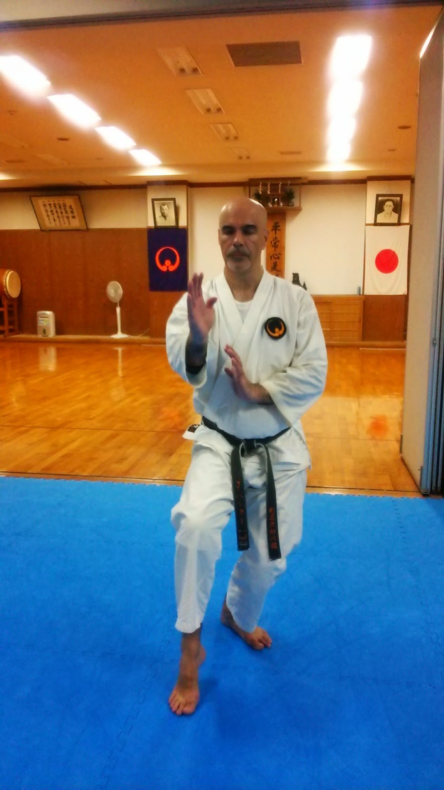 Traditional Gojuryu Karatedo: Kamae 2 - Other Forms