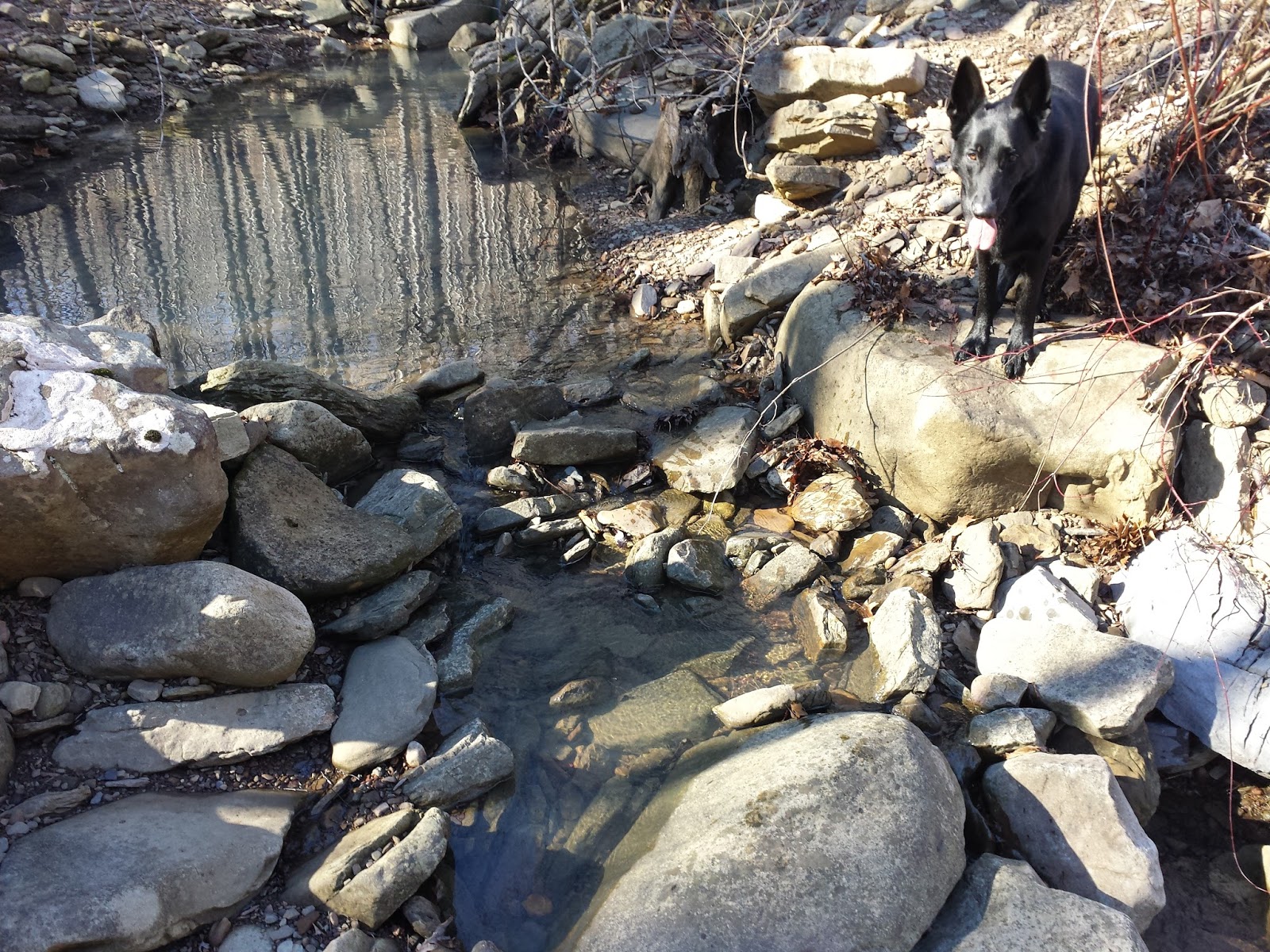 Rick's Hiking Blog: Terwilliger Falls, Pine Hollow, Richland Wilderness ...