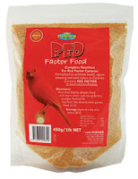 Kenari Merah (Red Factor) ~ Tamsis Canary Farm