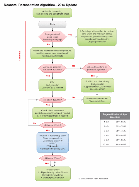 ER goldbook: Neonatal resuscitation