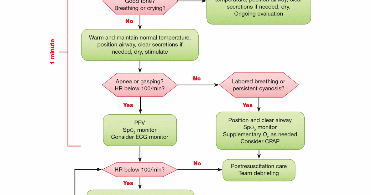 ER goldbook: Neonatal resuscitation