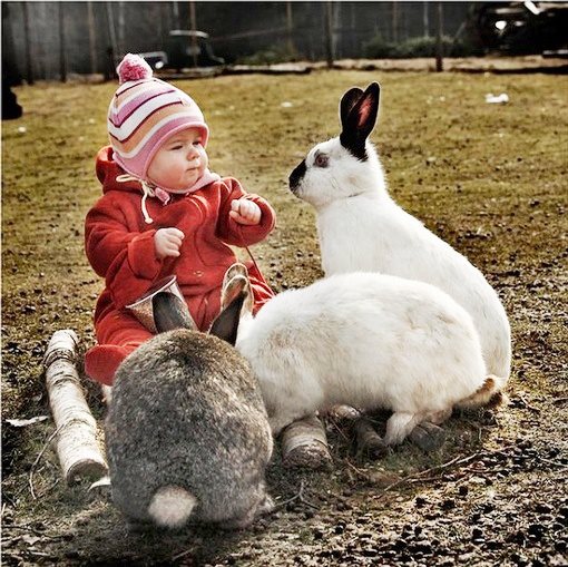 Rabbits and Children ~ SWEET BUNNY