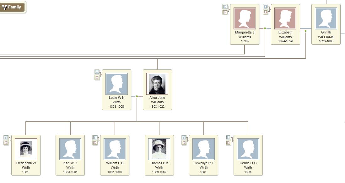 Williams Family Tree: November 2012