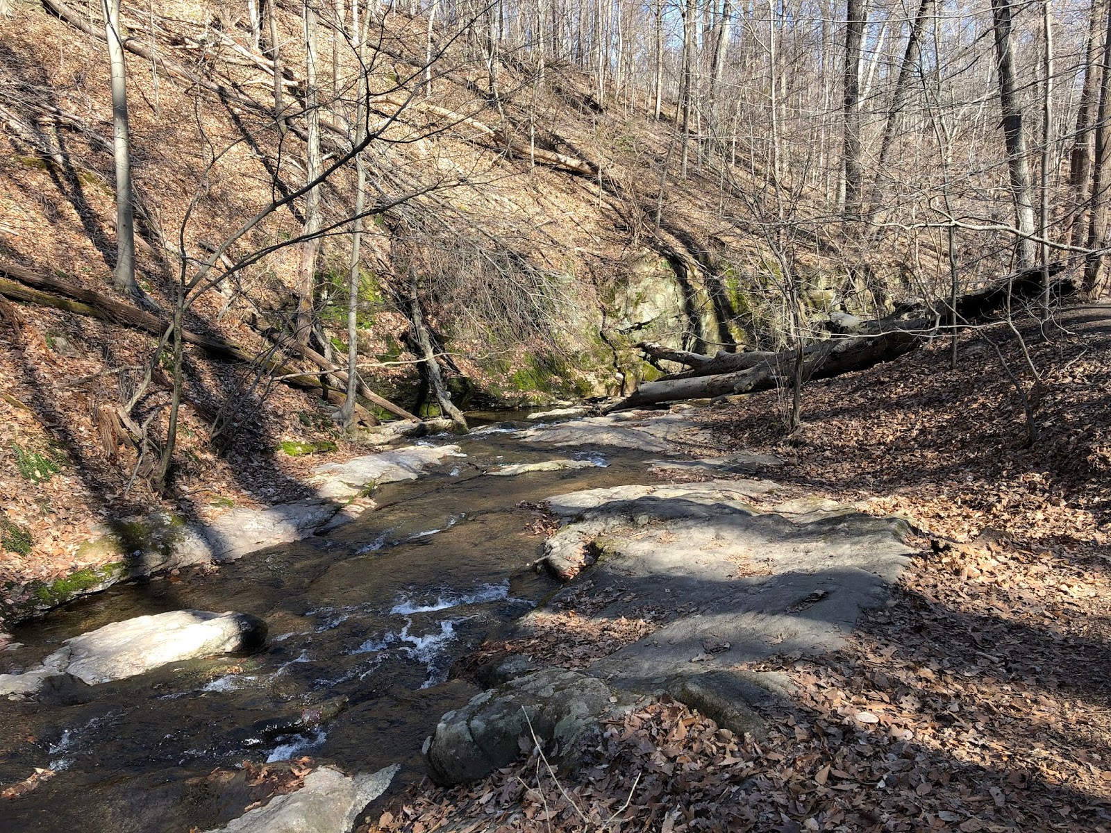 A Little Time and a Keyboard: Spring Hike to Cascade Falls at Patapsco ...