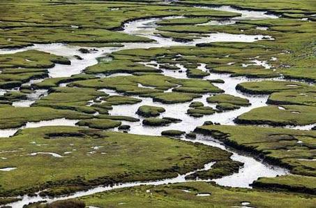 Today with J P Ronan: Clonycavan and Old Croghan Men