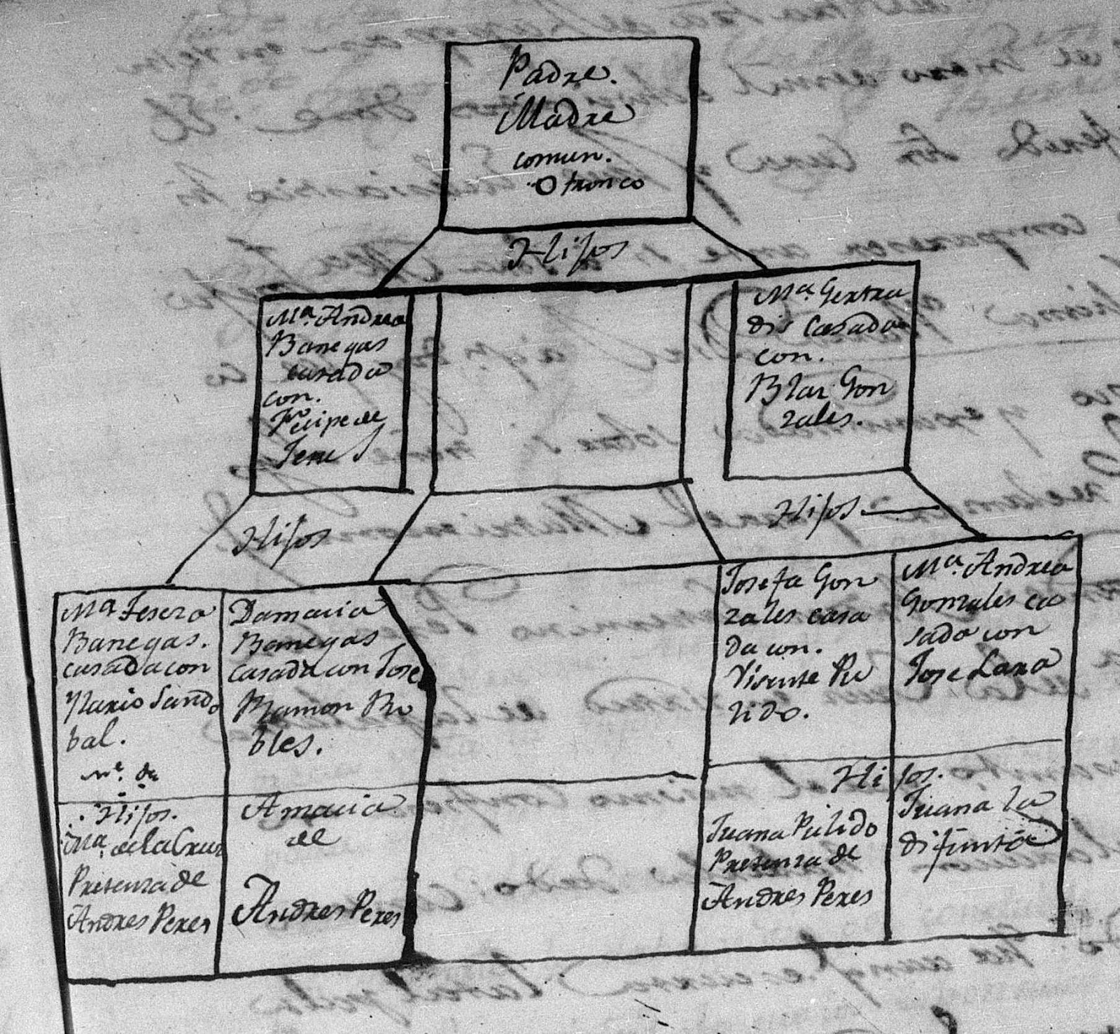 Guadalajara Marriage Dispensations - Mexico Genealogy: Family Tree Art