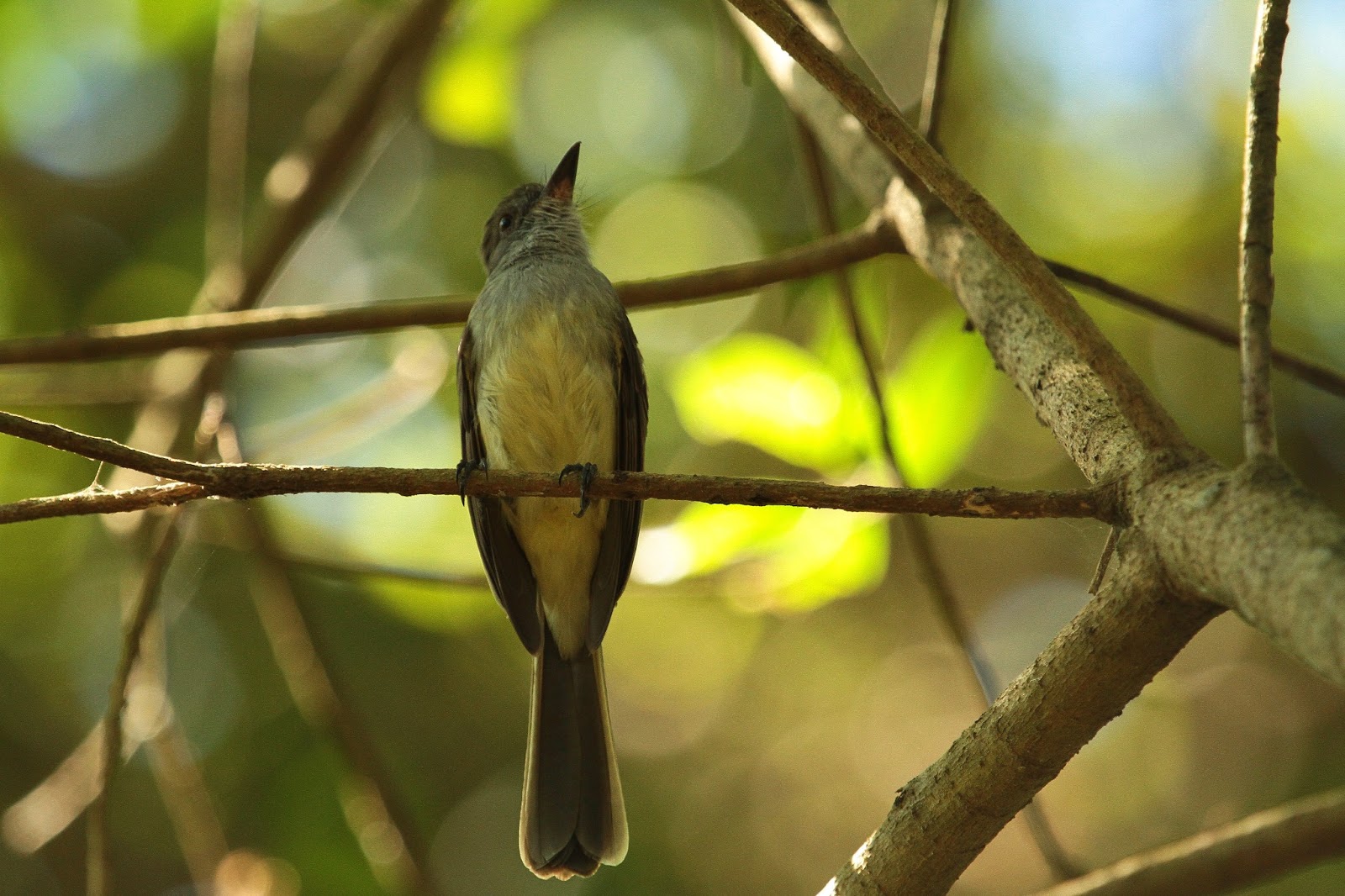 Nuestro bello mundo...: Fotos Tomadas en la Bahia de Cata, Edo. Aragua ...