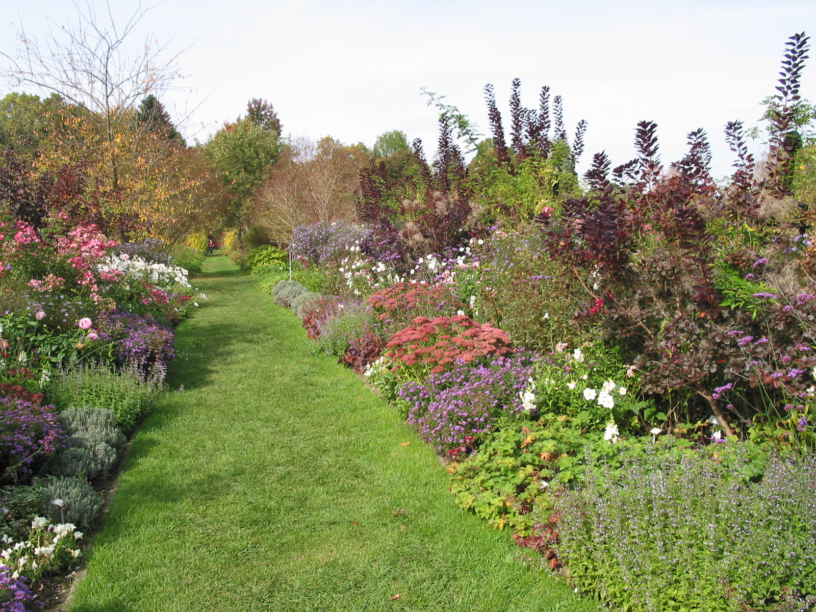 Noel's Garden Blog: Weihenstephan - German planty paradise