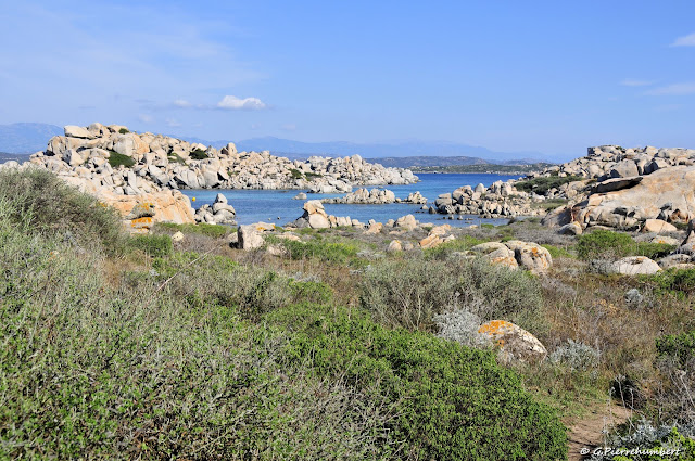 Jo - Photographe: Les Îles LAVEZZI et CAVALLO