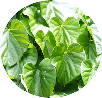 Cara Mengatasi Jari Tangan Kaku Dan Nyeri Atau Trigger Finger - Rairaka ...