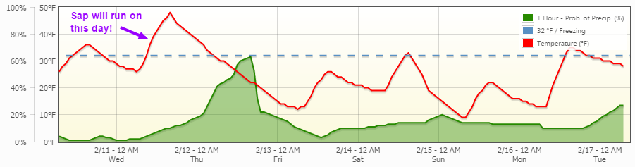 Simply Resourceful: When Does Maple Sap Run?