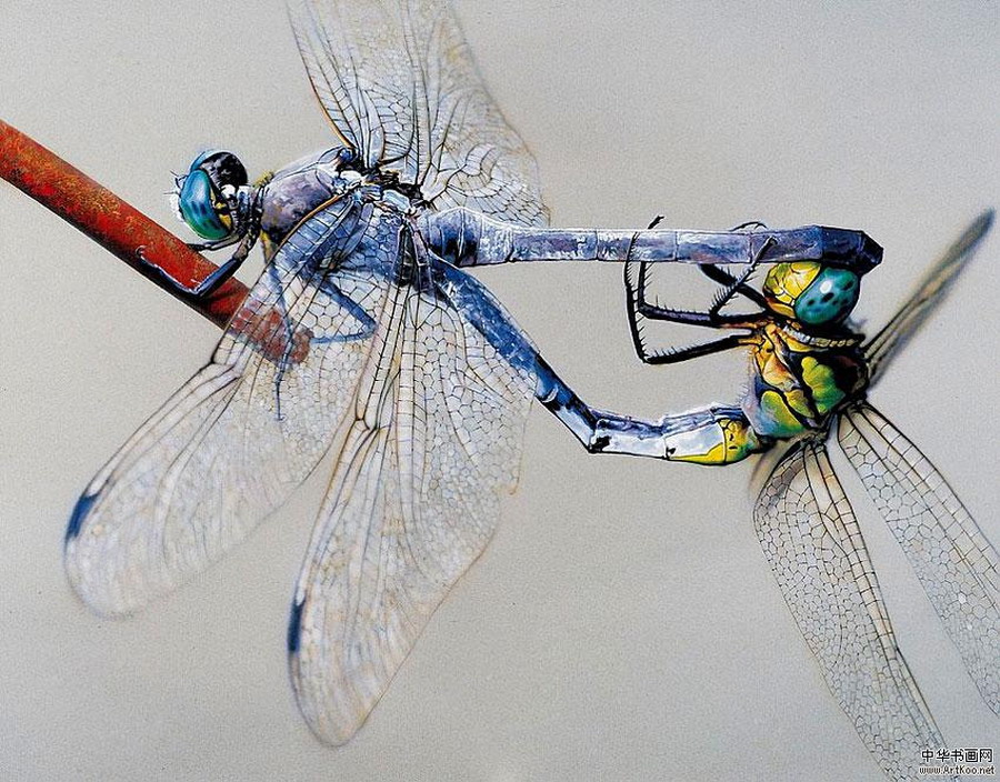 Historia y evolución de la pintura artística : Libelulas y Mariposas en ...