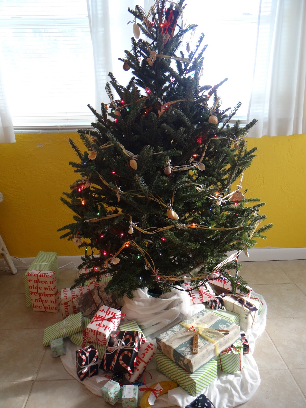 Trader Joe's 365: Day 363 - European Cookie Collection and ANNOUNCEMENT ...