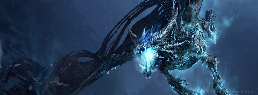 World Of Warcraft Ice Dragon Facebook Timeline Cover ~ Facebook ...