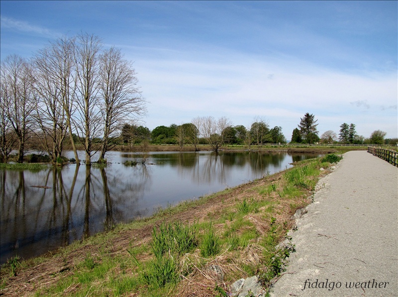 Return to Wiley Slough