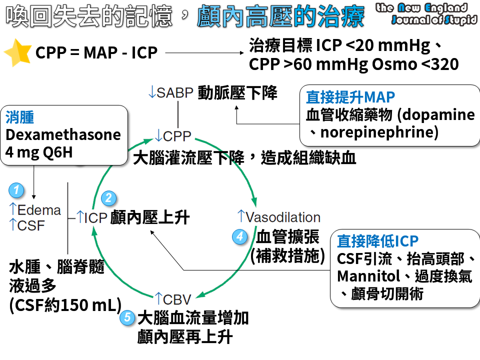 [重症醫學] 顱內出血病例快速增加，喚回失去的記憶，顱內高壓 (IICP)的治療～ - NEJS