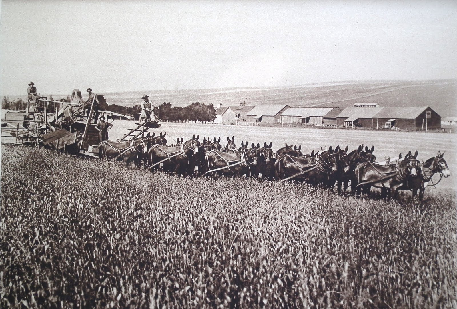 What Was Agriculture Like In The 1920S at Megan Blackmon blog
