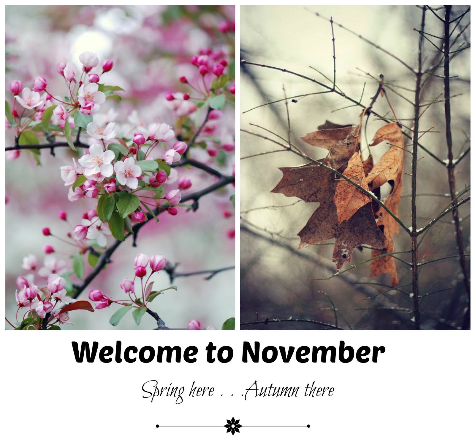 Welcome to November