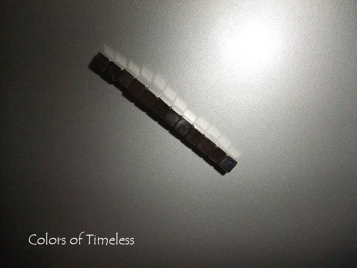 Living magnets on my fridge :-)