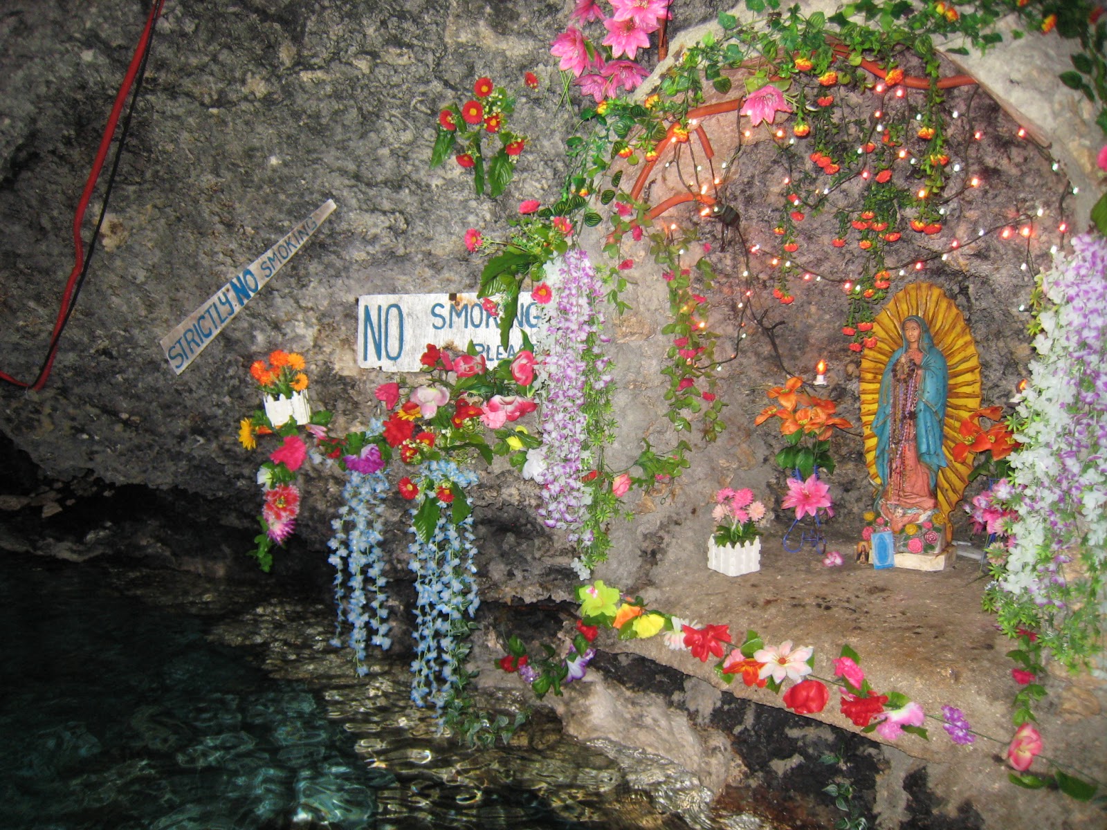 Black Swamp Cornucopia: Timubo Cave, Camotes Islands, the Philippines ...