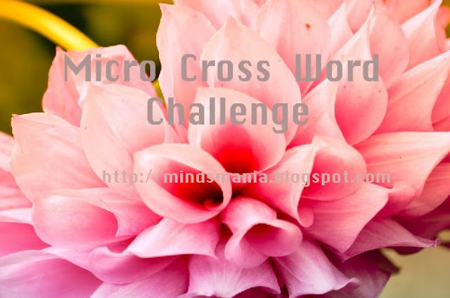 Micro Cross Word Difficult Challenge