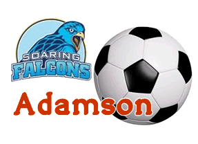 List of Adamson Soaring Falcons Football Team Lineup 2015 UAAP Season 78